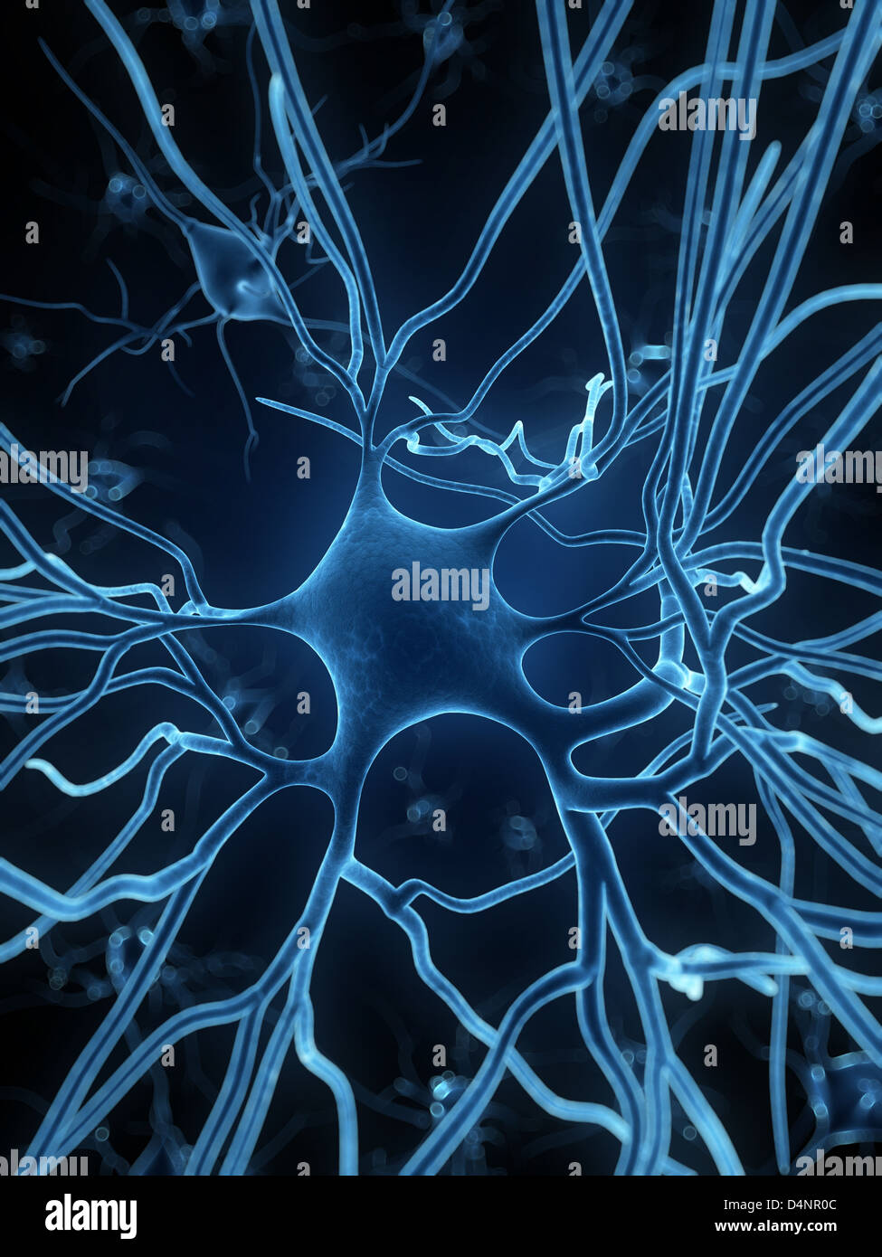 Nerve cell synapse hi-res stock photography and images - Alamy