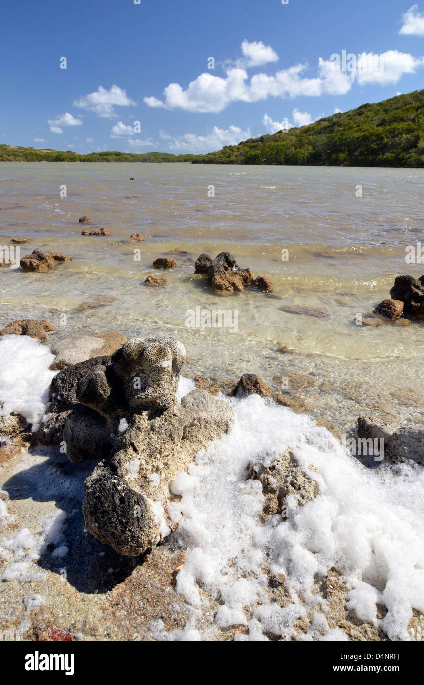 Salt Pond, Virgin Islands National Park, St. John, U.S. Virgin Islands ...