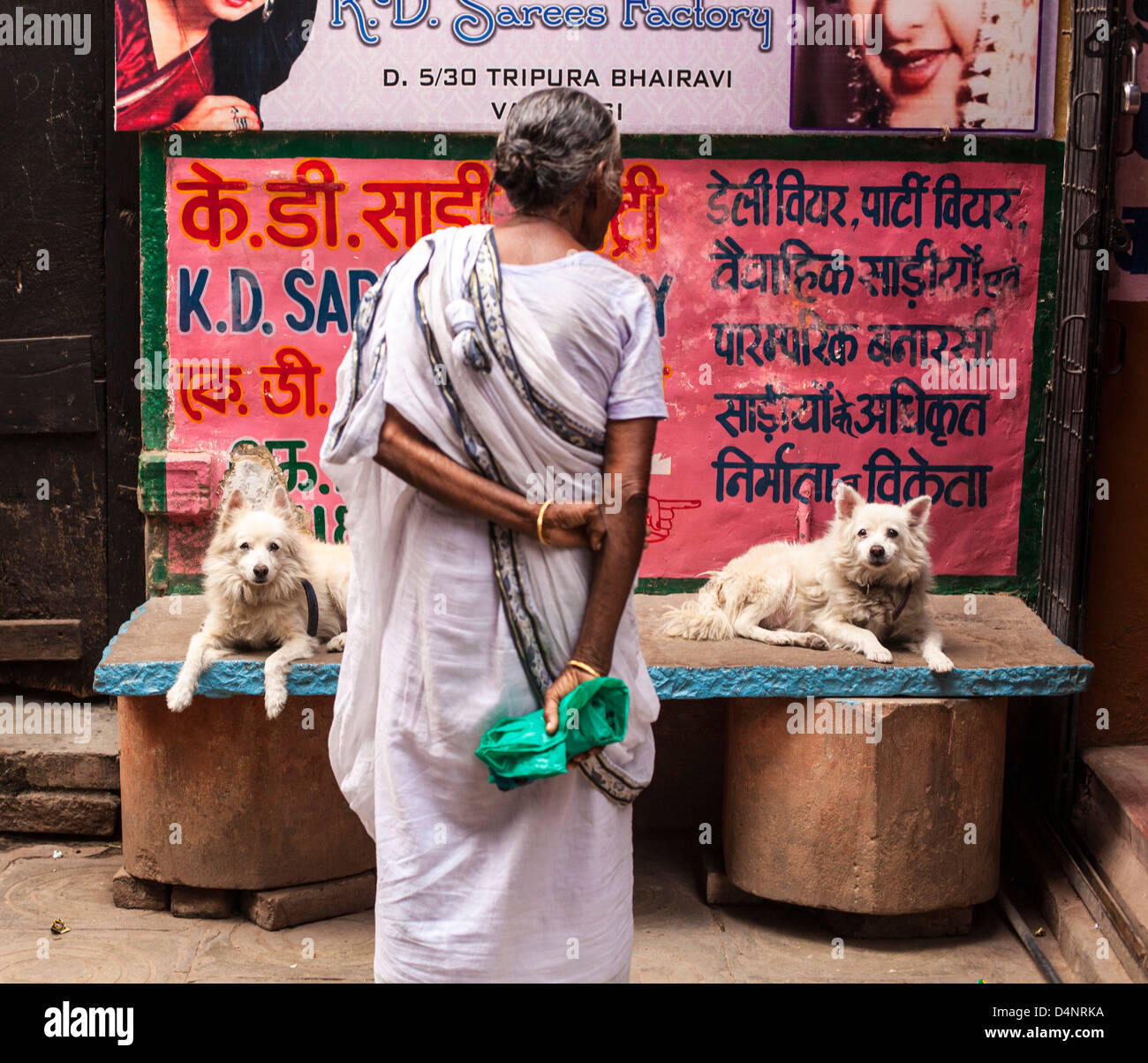 Woman with two dogs hi-res stock photography and images - Alamy
