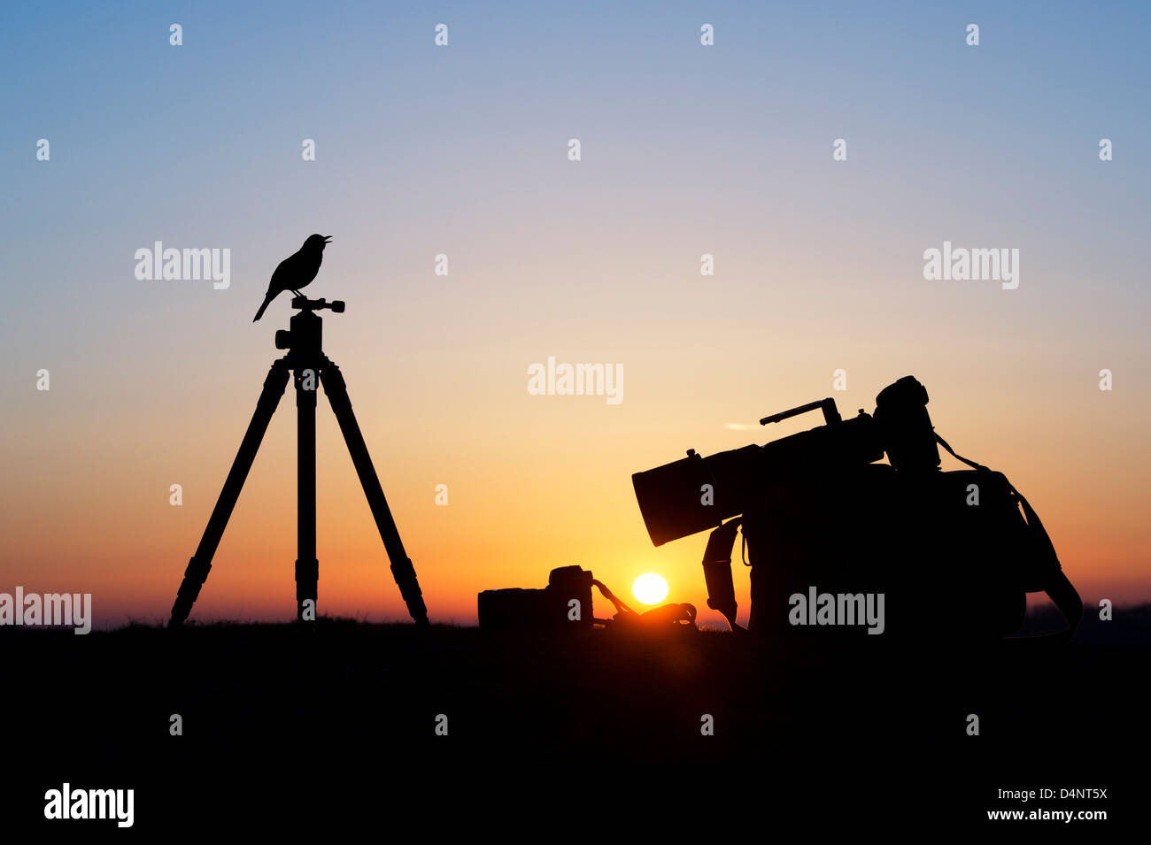 Camera with tripod silhouette hi-res stock photography and images - Alamy