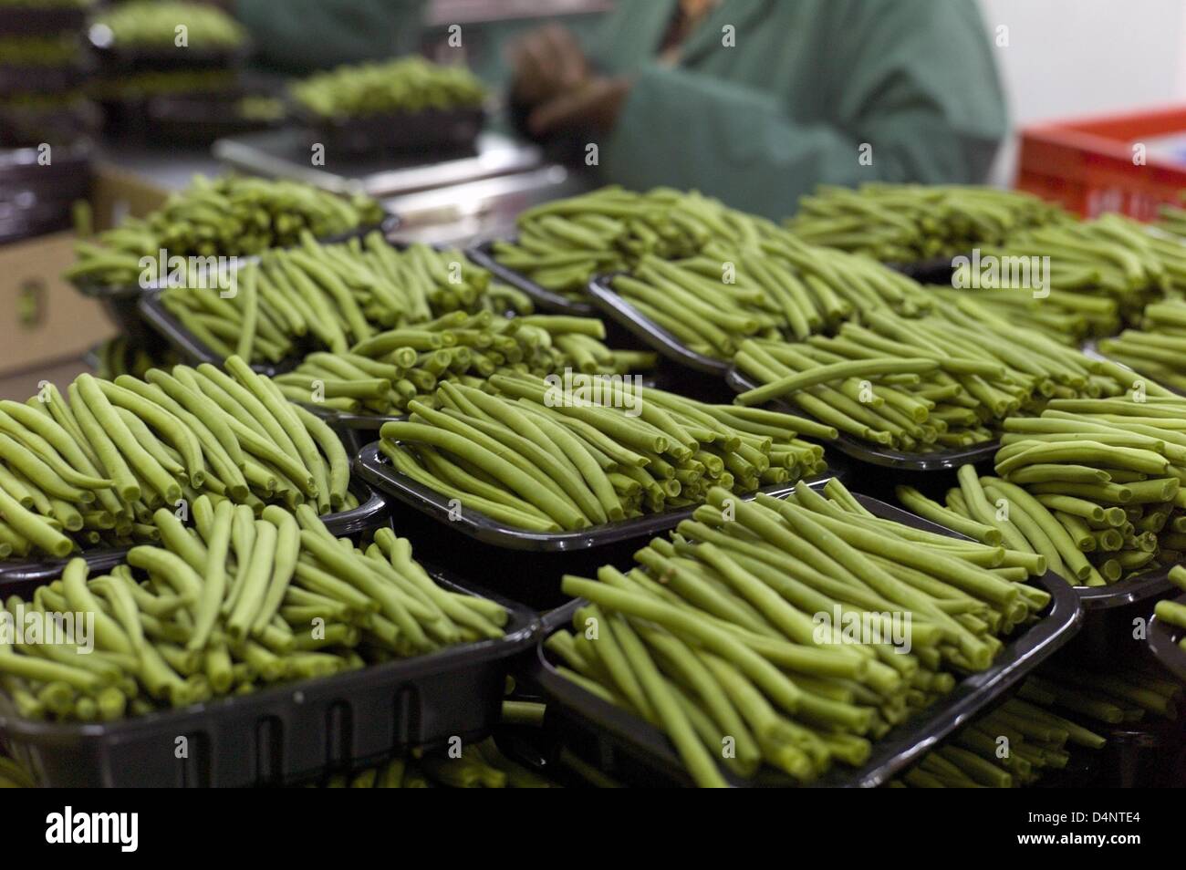 March 12, 2013 - Nairobi, Nairobi, Kenya - March 12, 2013 - Nairobi ...