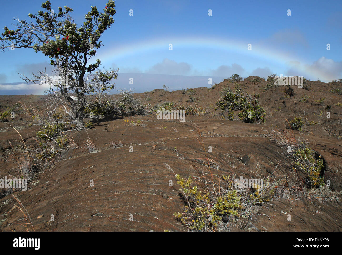 Rainbow over Old lava flow Kilauea Volcanoes National Park Hawaii the ...