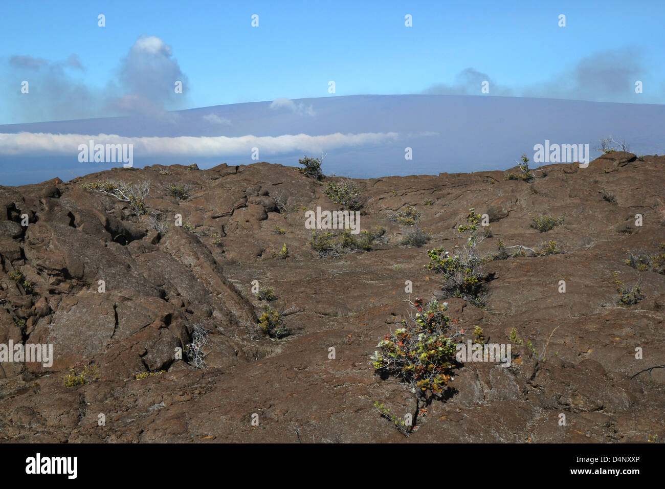 Mauna Loa volcano with Rainbow over old lava flow Kilauea Volcanoes ...