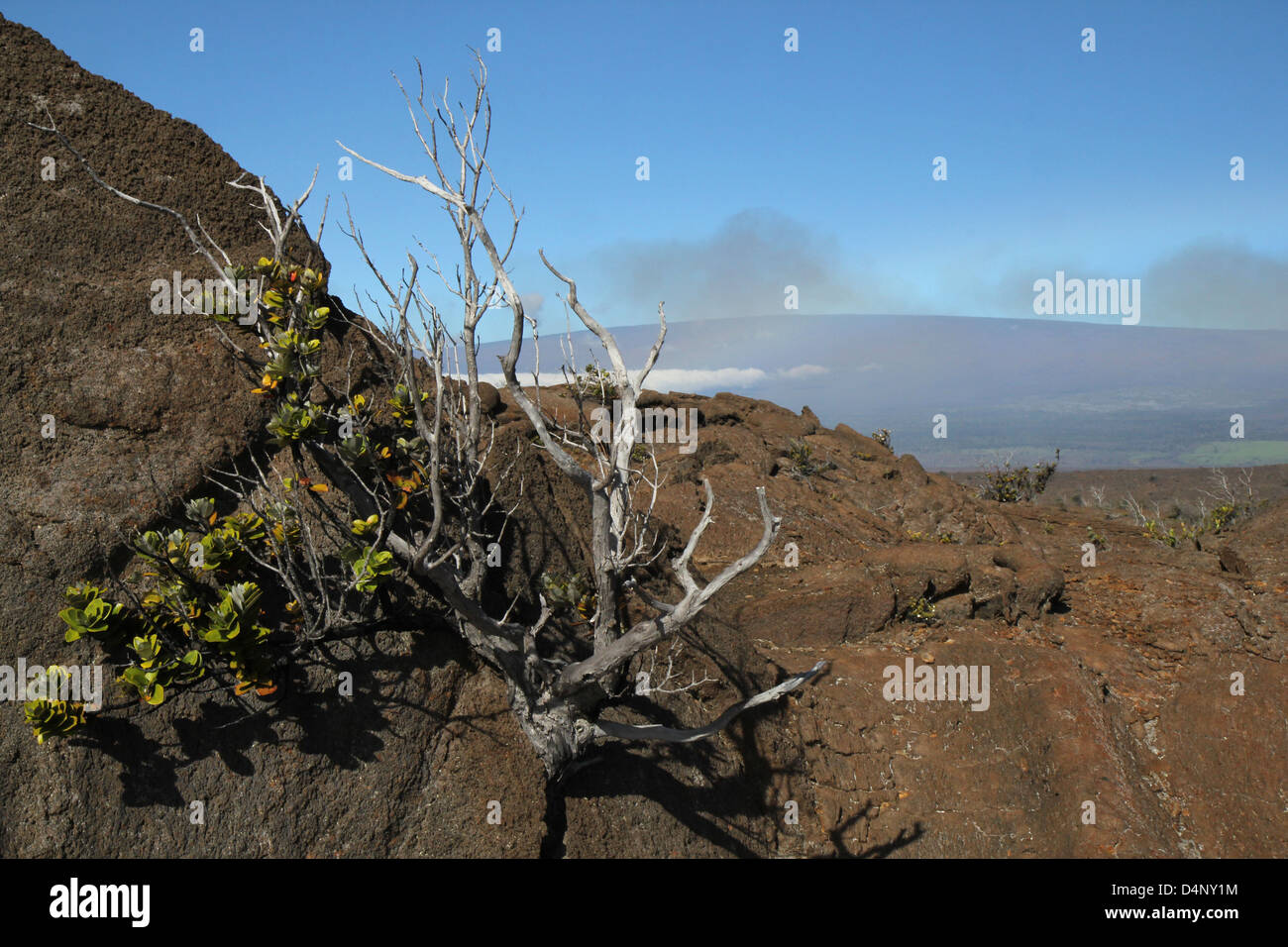 Mauna Loa volcano with Rainbow over old lava flow Kilauea Volcanoes ...
