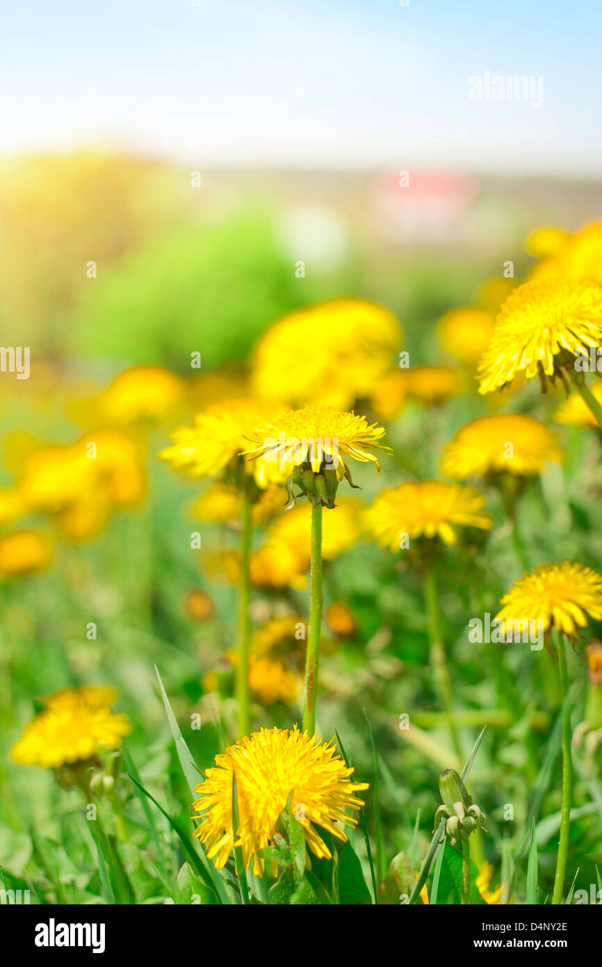 Spring landscape hi-res stock photography and images - Alamy