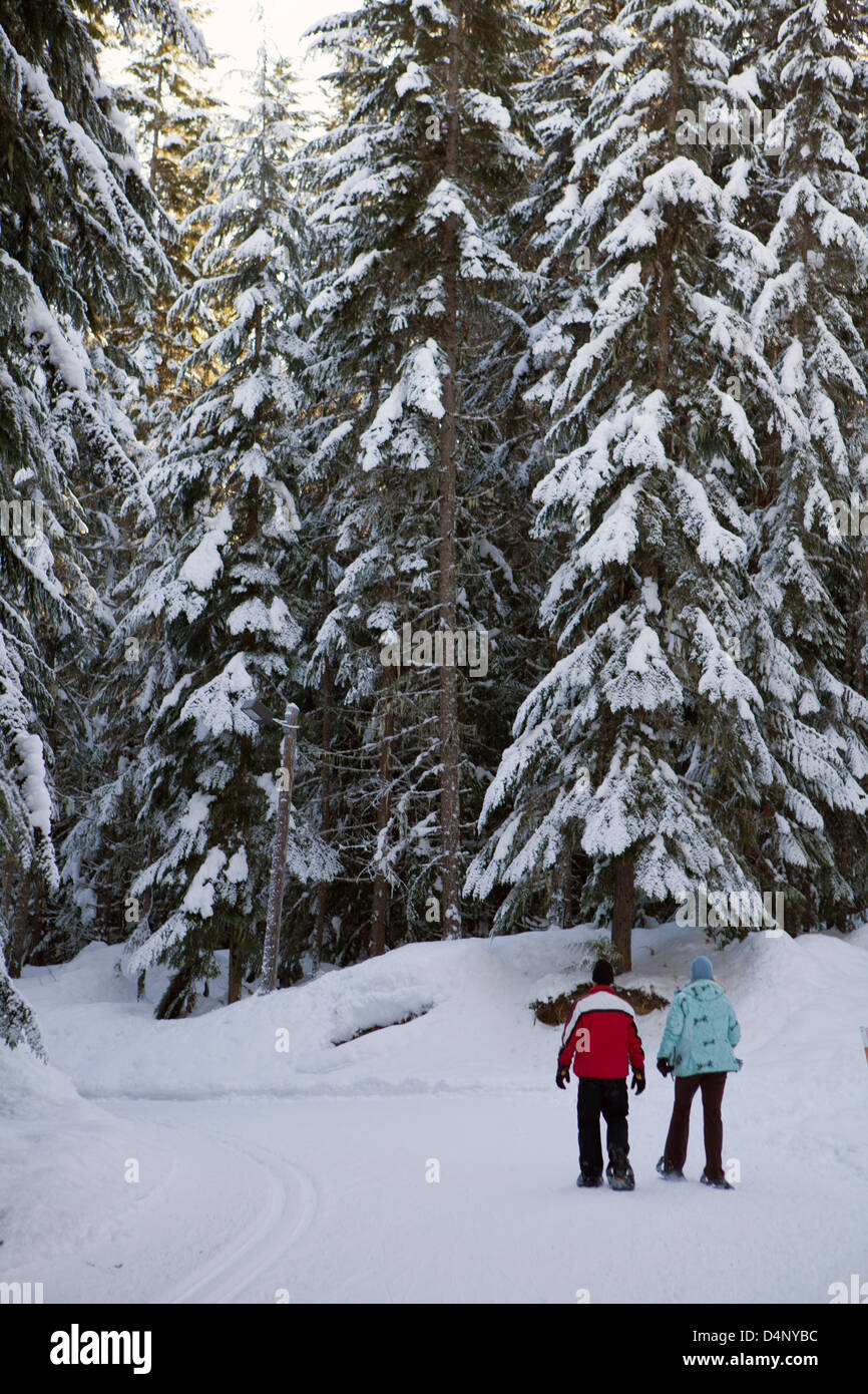 Winter Scenes Whistler, Canada Stock Photo - Alamy
