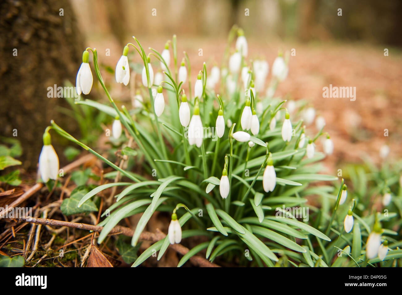 Snow dublin hi-res stock photography and images - Alamy