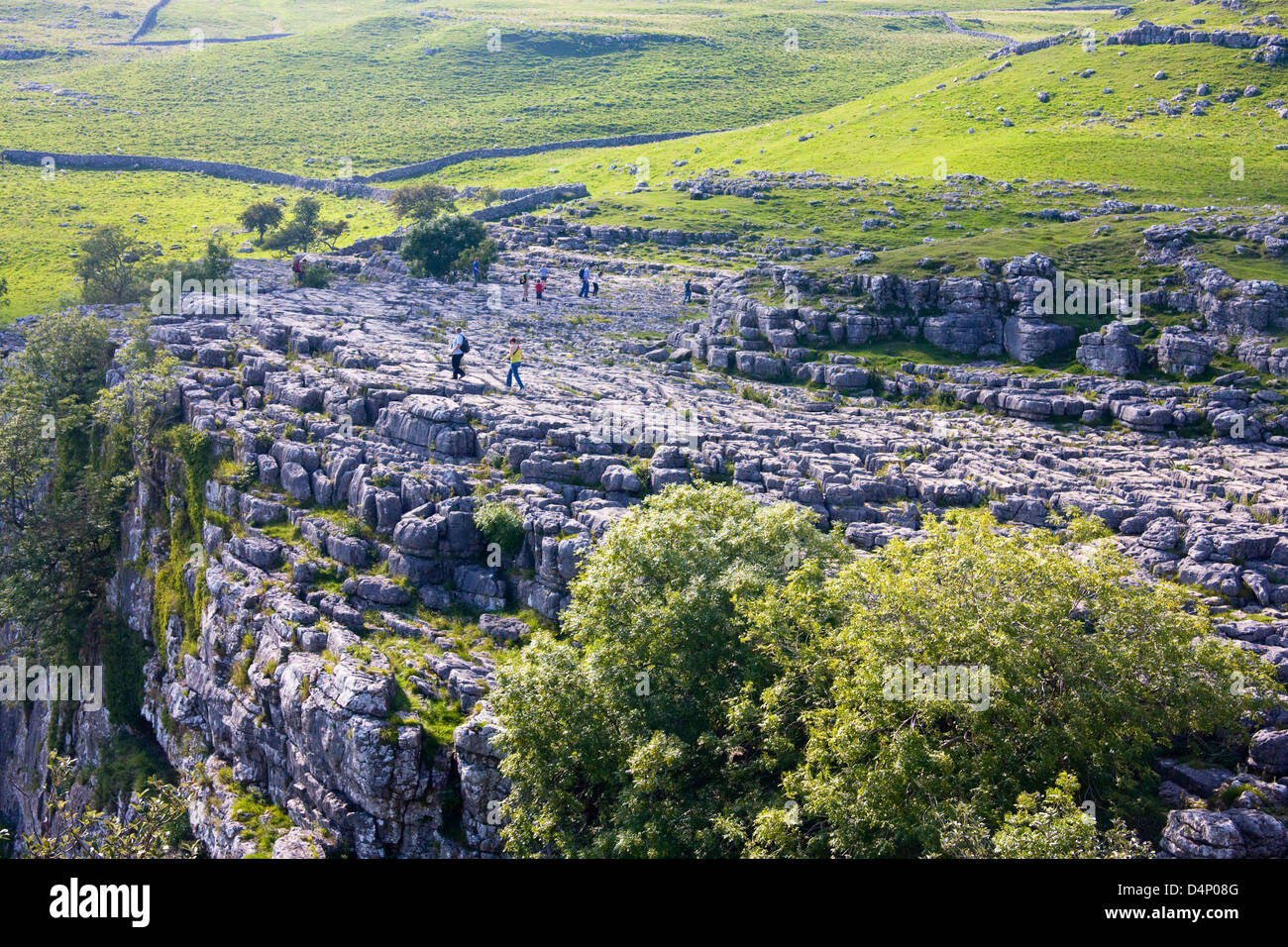 Limestone pavement, Malham Cove, Yorkshire Dales National Park, England ...