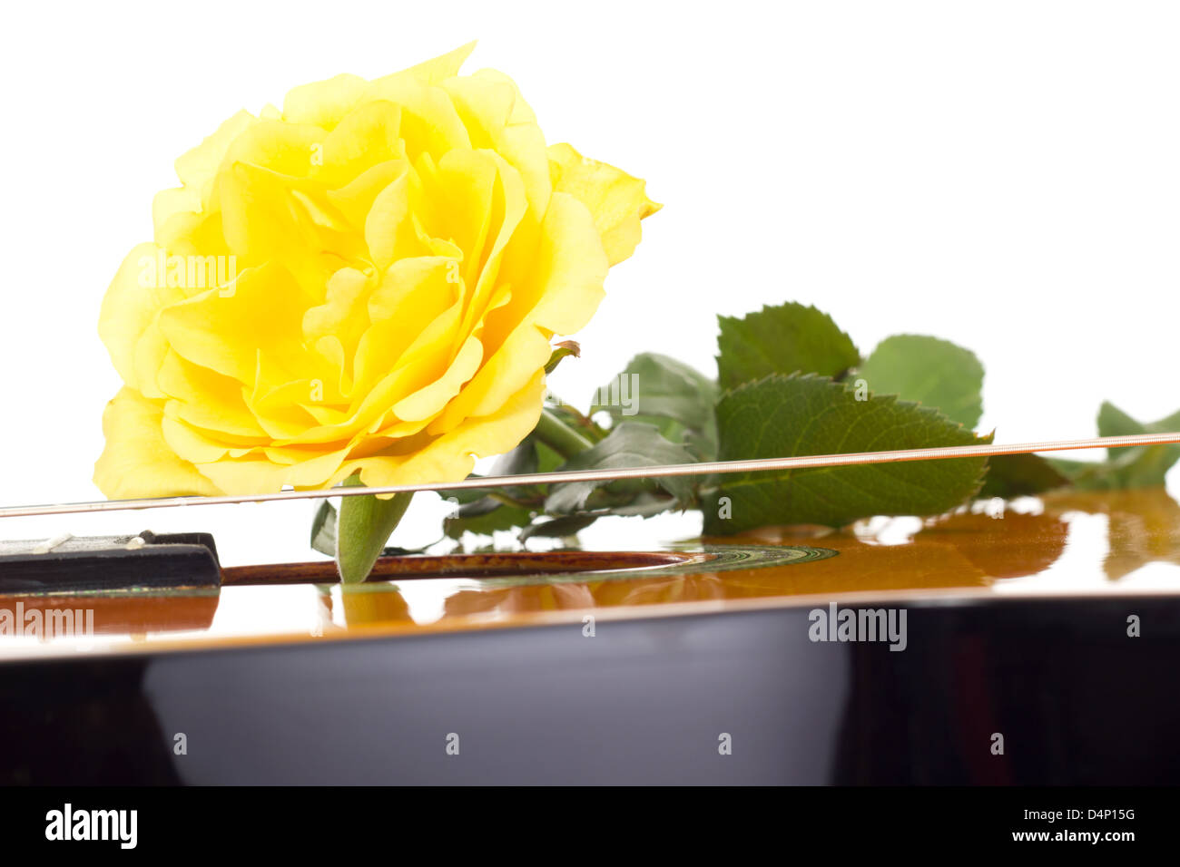 Beautiful rose on guitar Stock Photo - Alamy