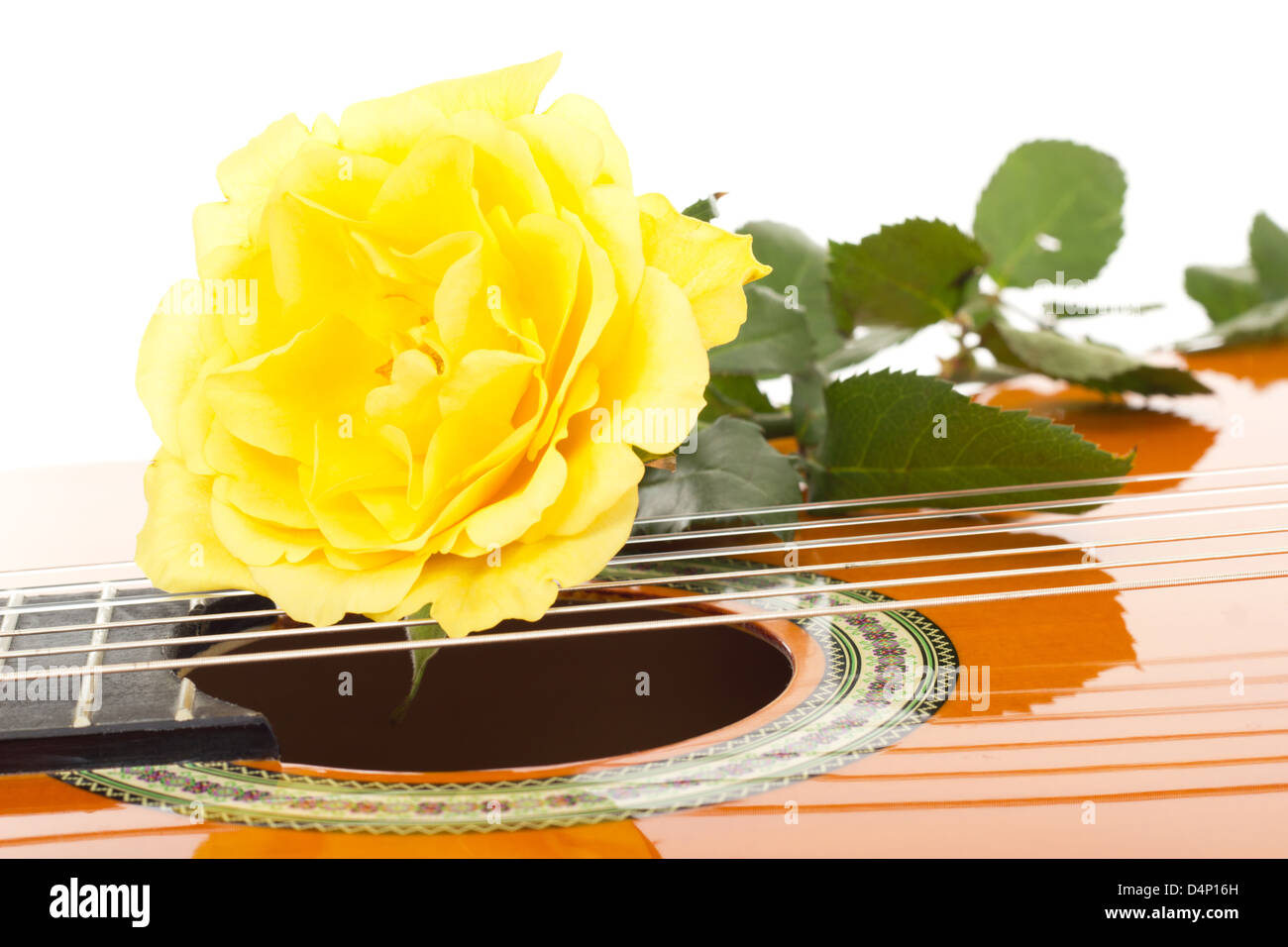 Guitar rose hi-res stock photography and images - Alamy