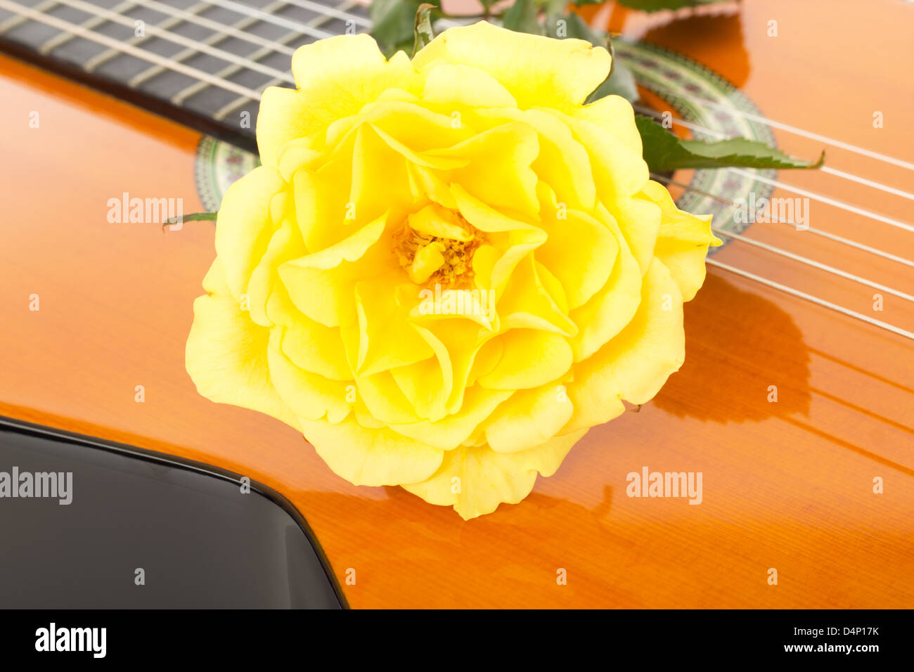 Beautiful rose on guitar Stock Photo - Alamy