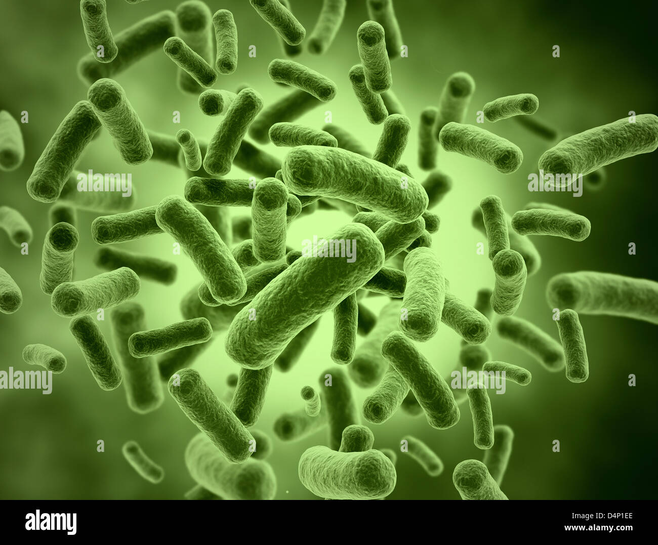 Body bacteria cells hi-res stock photography and images - Alamy