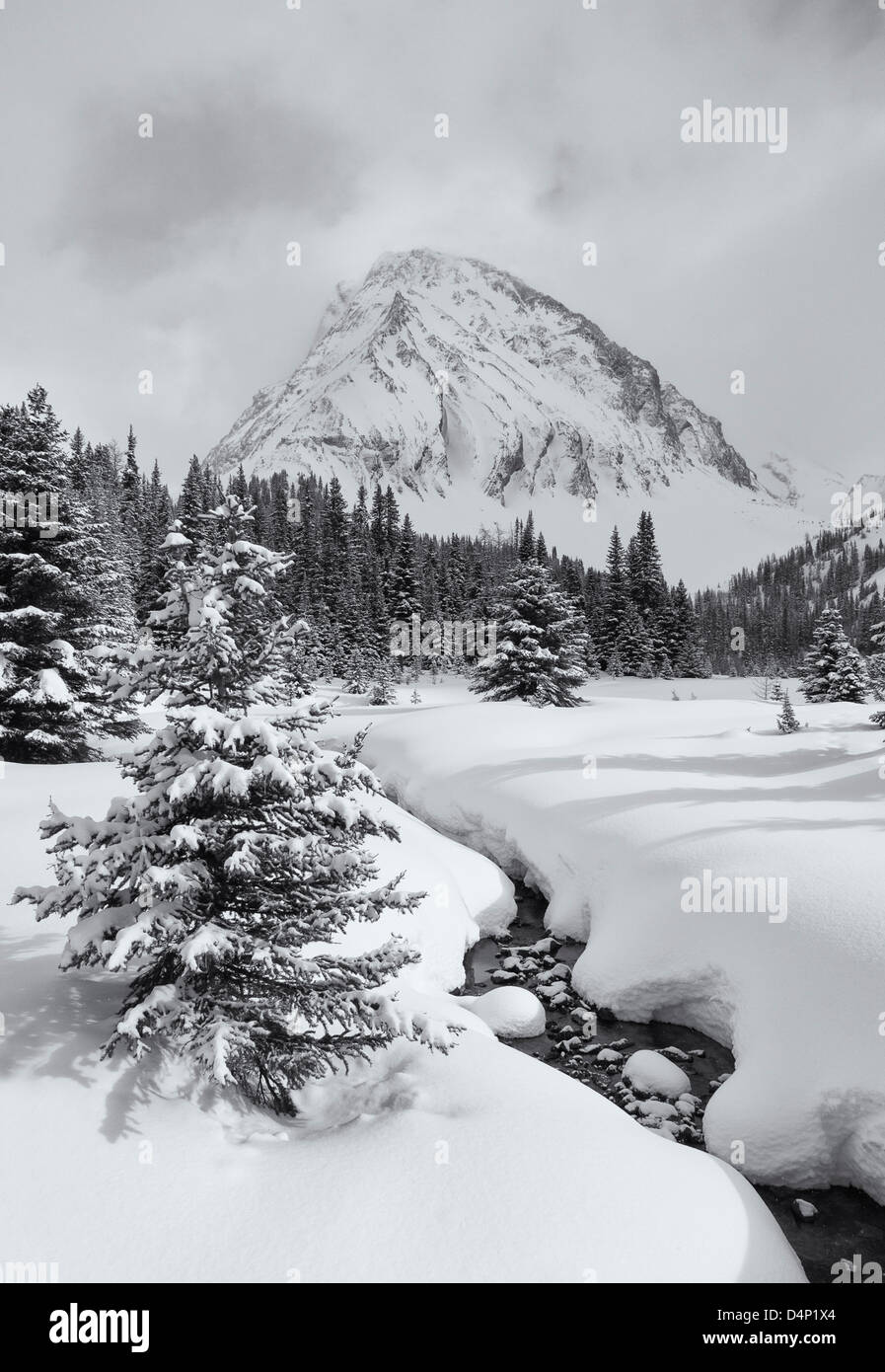 Winter scene in the Canadian Rockies Stock Photo - Alamy