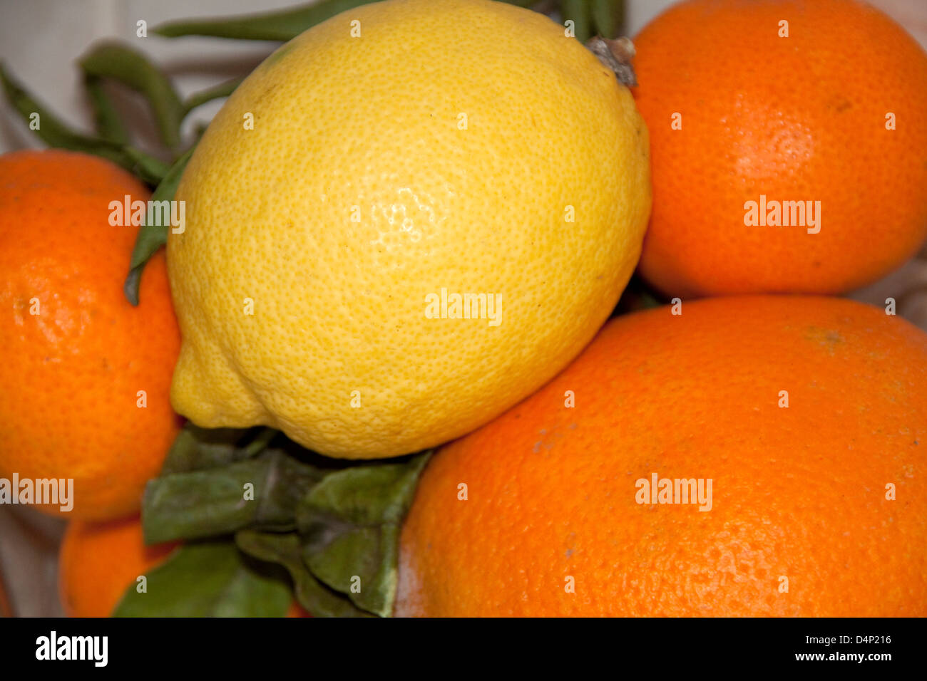 Oranges and Lemon Stock Photo - Alamy