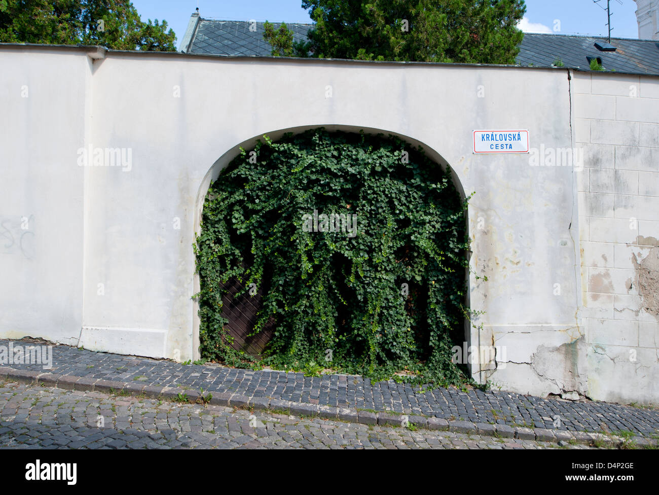 Nitra, Slovakia, an overgrown driveway Stock Photo - Alamy