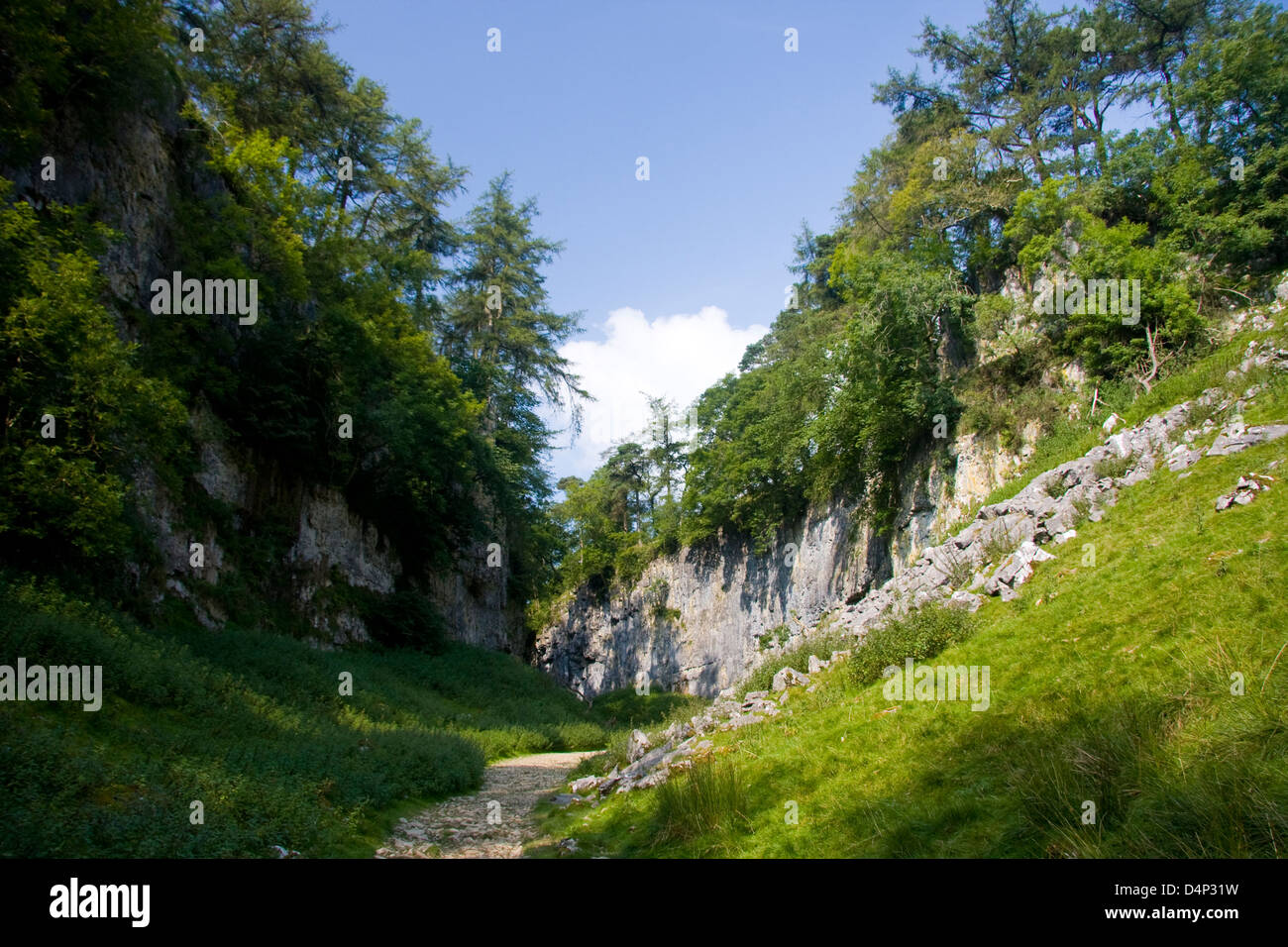 Gorge at Clapham, Yorkshire, England Stock Photo - Alamy