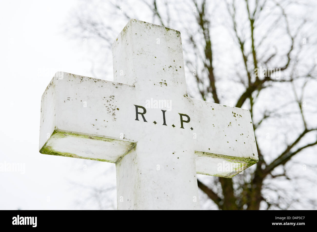 Low angle view of cross shaped headstone with R.I.P. written on it ...
