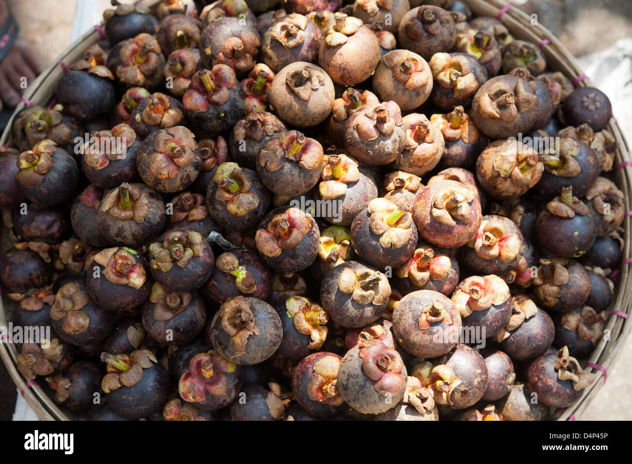 Type of fruit on display near Bogyoke Aung San market Burma Stock Photo ...