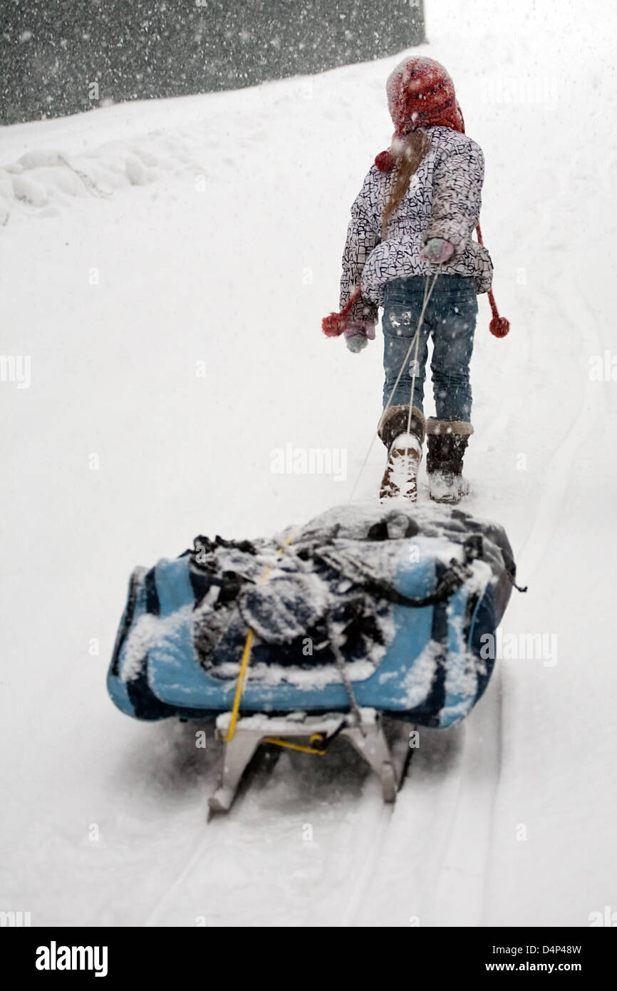 little girl dragging big sled on winter snowstorm weather background ...