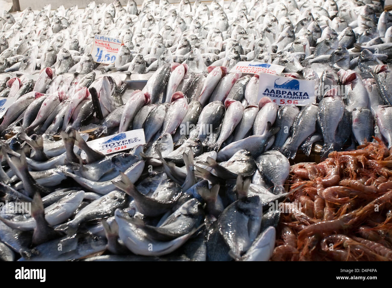 closeup of raw fish on market table Stock Photo - Alamy