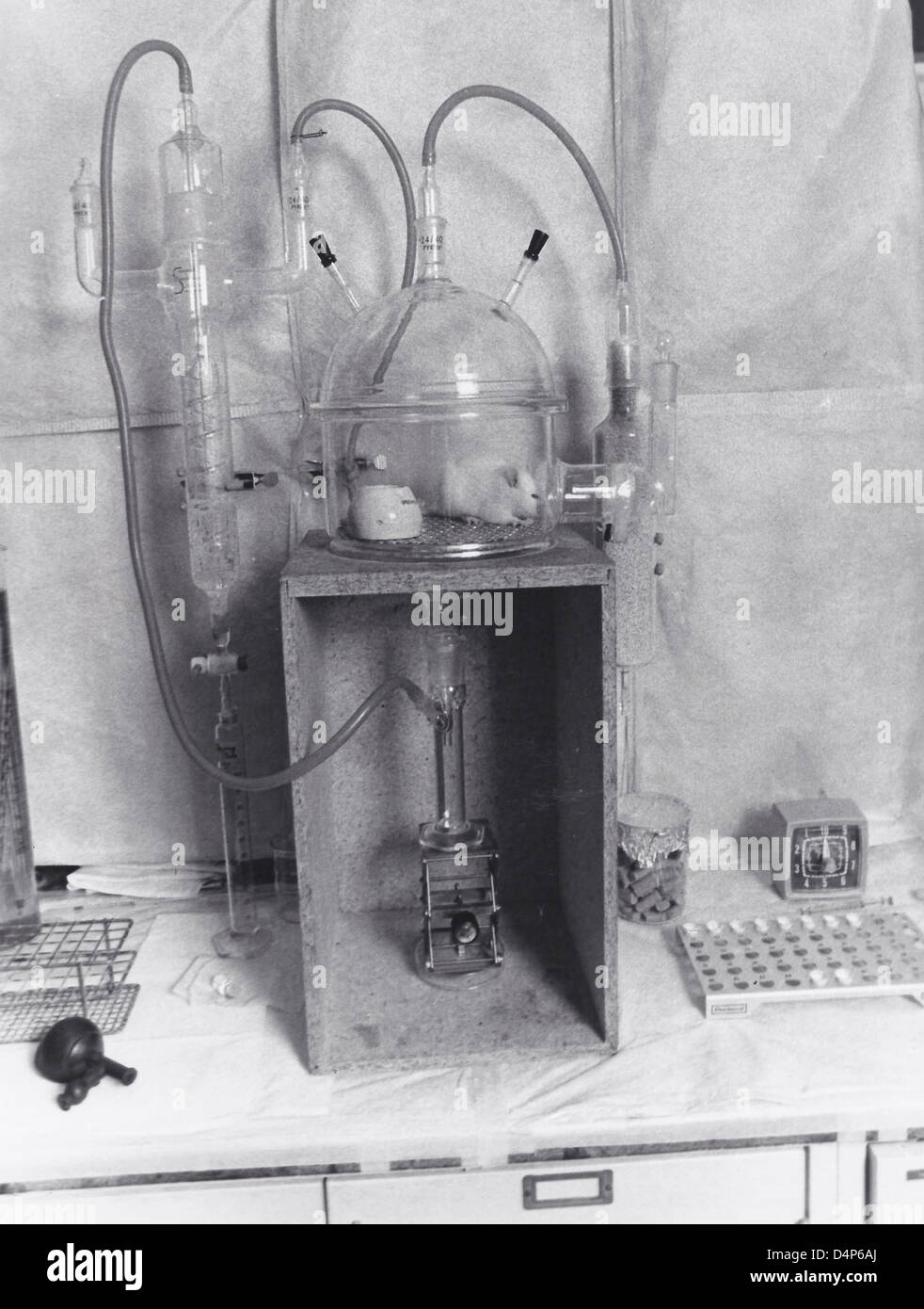 Animal testing cage hi-res stock photography and images - Alamy