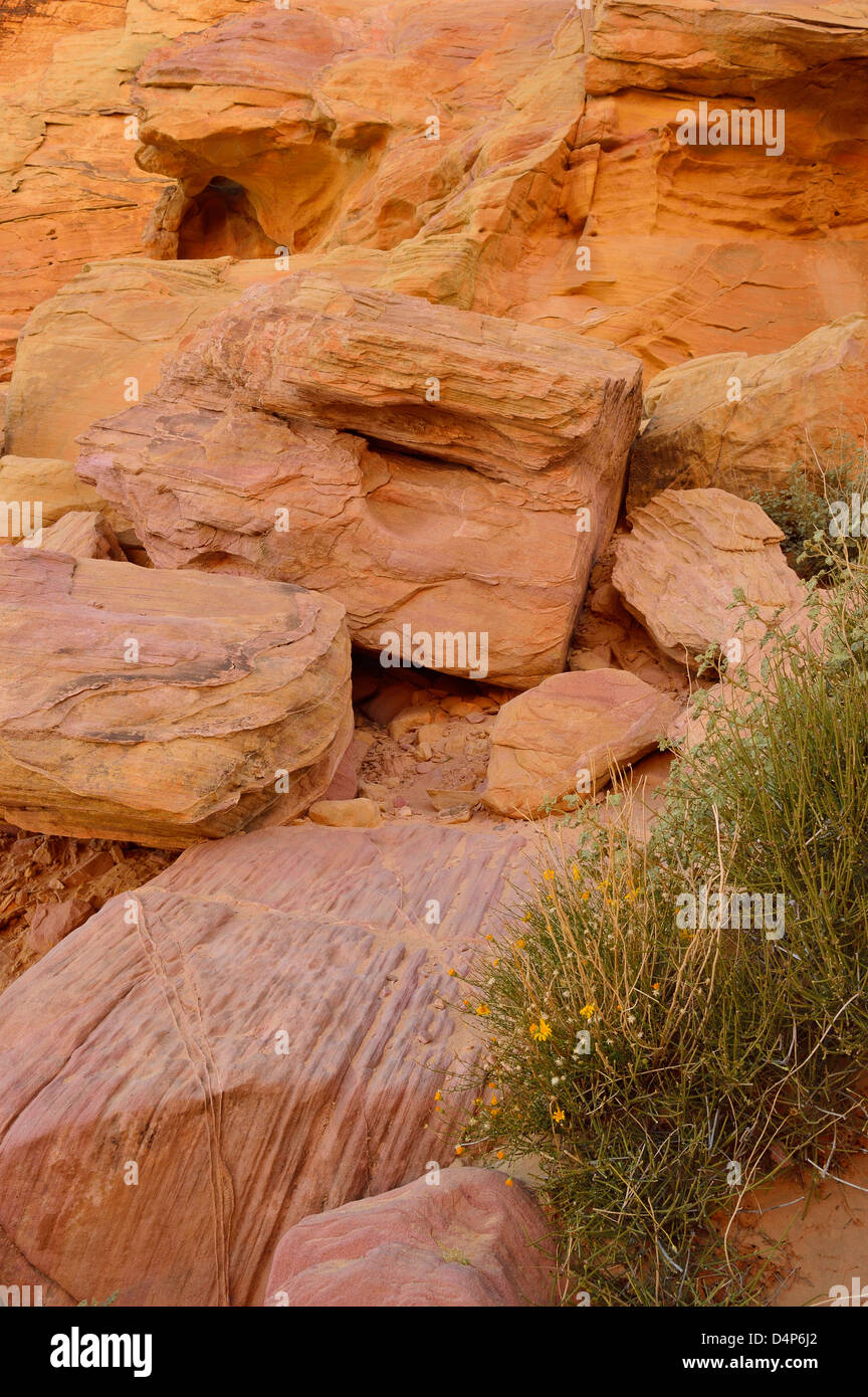 Views of the red sand and sandstone along the trails of Valley of Fire ...