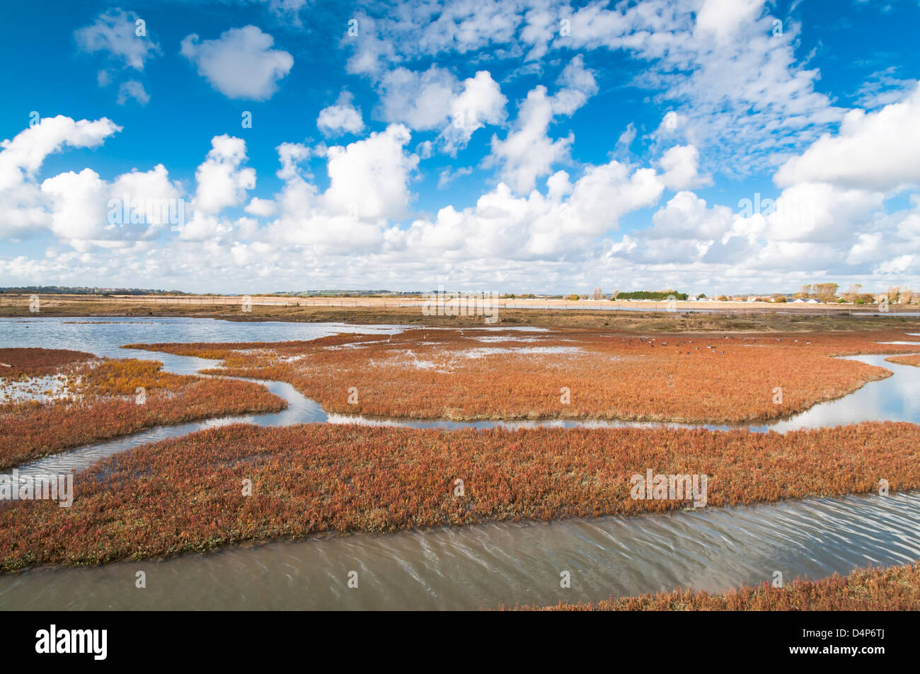 Salt water saltwater hi-res stock photography and images - Alamy