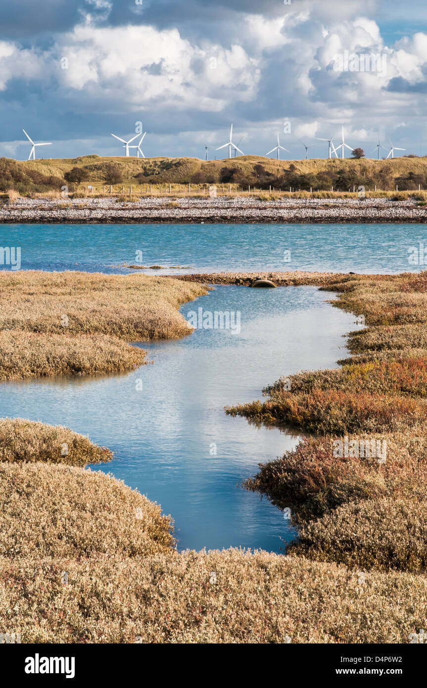 Marsh marshes hi-res stock photography and images - Alamy