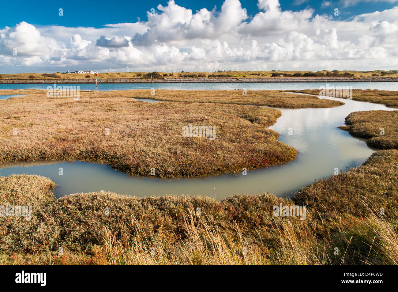 Romney marshes hi-res stock photography and images - Alamy