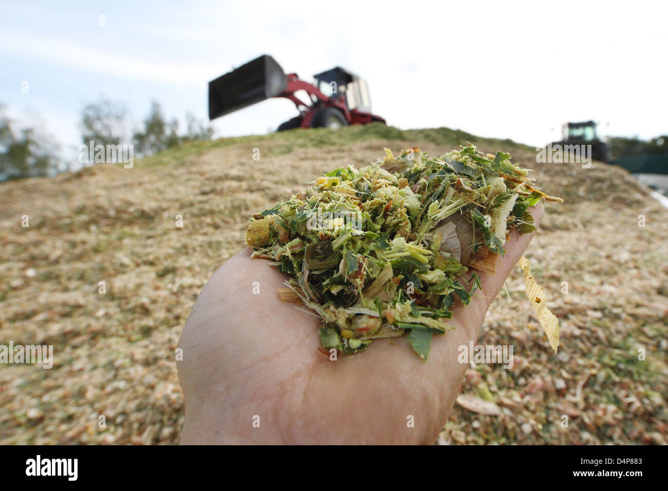 Corn silage biogas production hi-res stock photography and images - Alamy