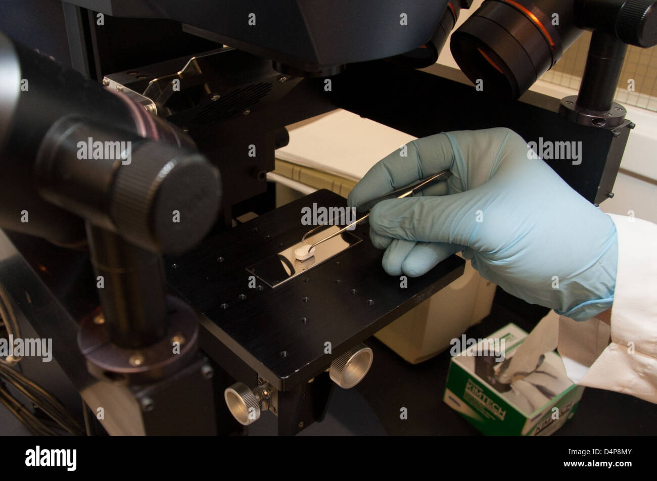 This research examines the bioequivalence of generic drugs, focusing on ...