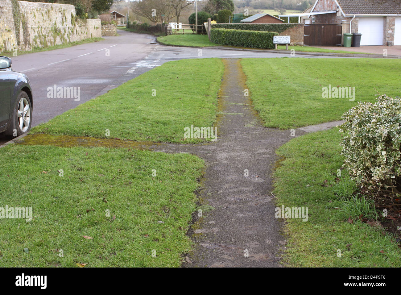 The not so well worn path, paths crossing some with moss growing on ...