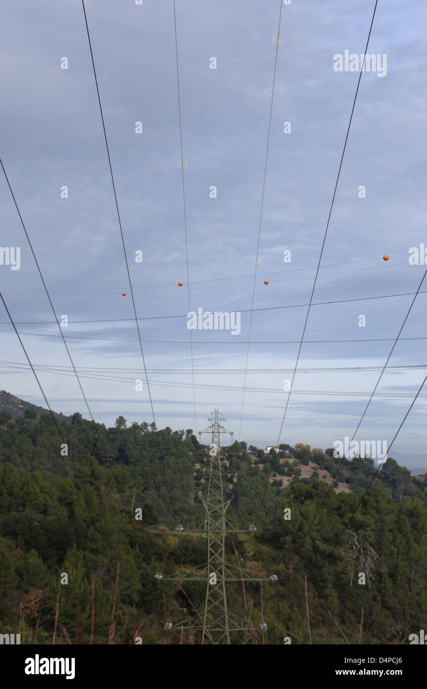 Big electric tower in the forest, like a steel monster. The electric ...