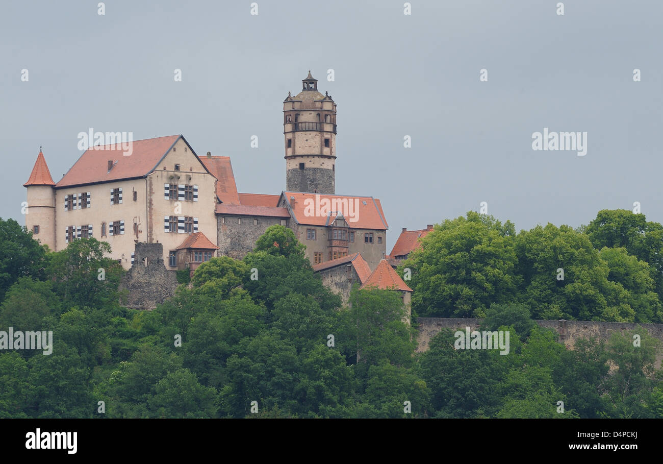 The picture shows Ronneburg castle in the town of the same name in ...