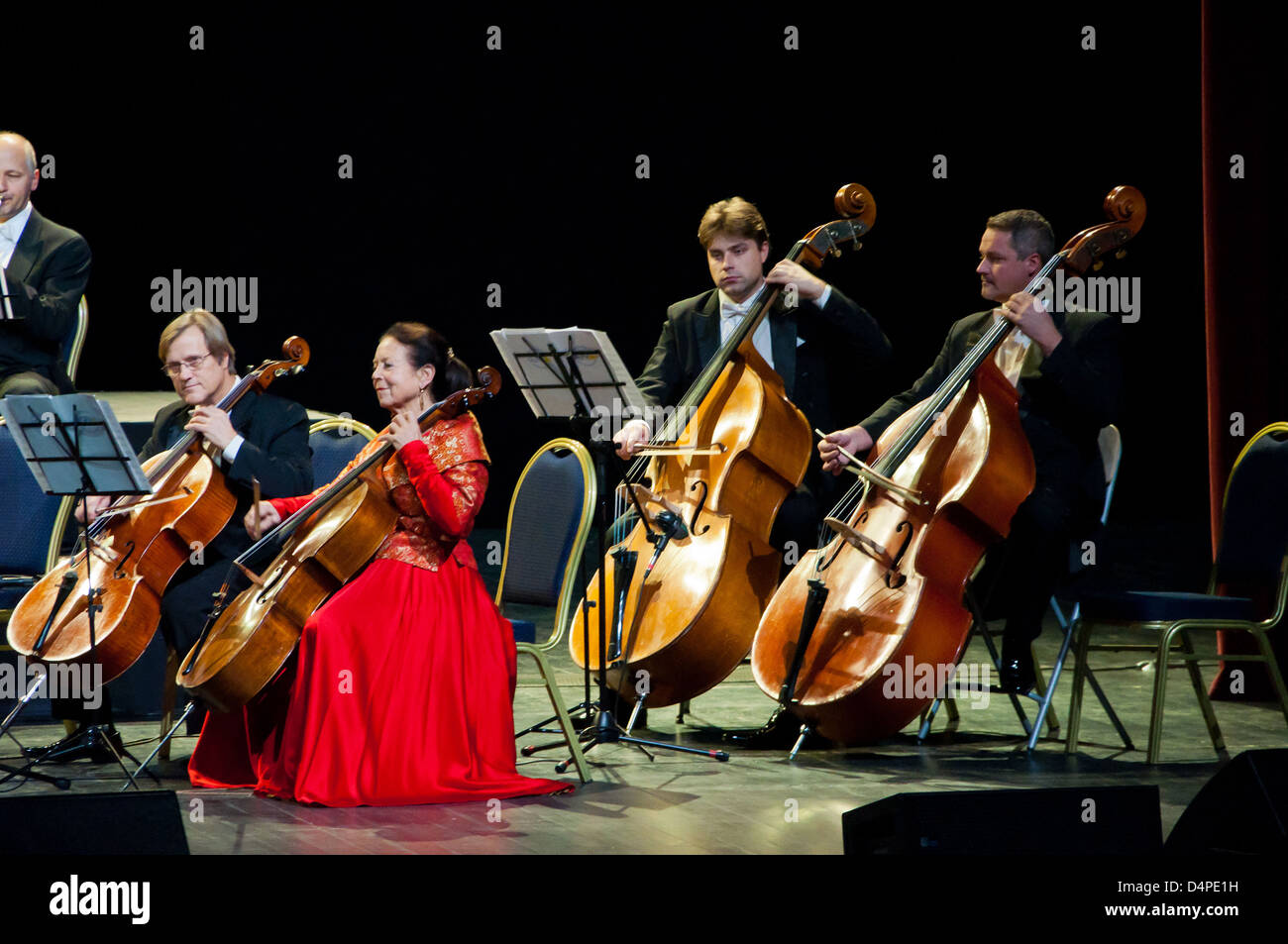 The strauss festival orchestra hi-res stock photography and images - Alamy