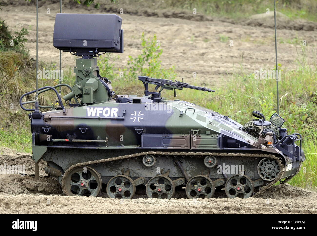 Ozelot hi-res stock photography and images - Alamy