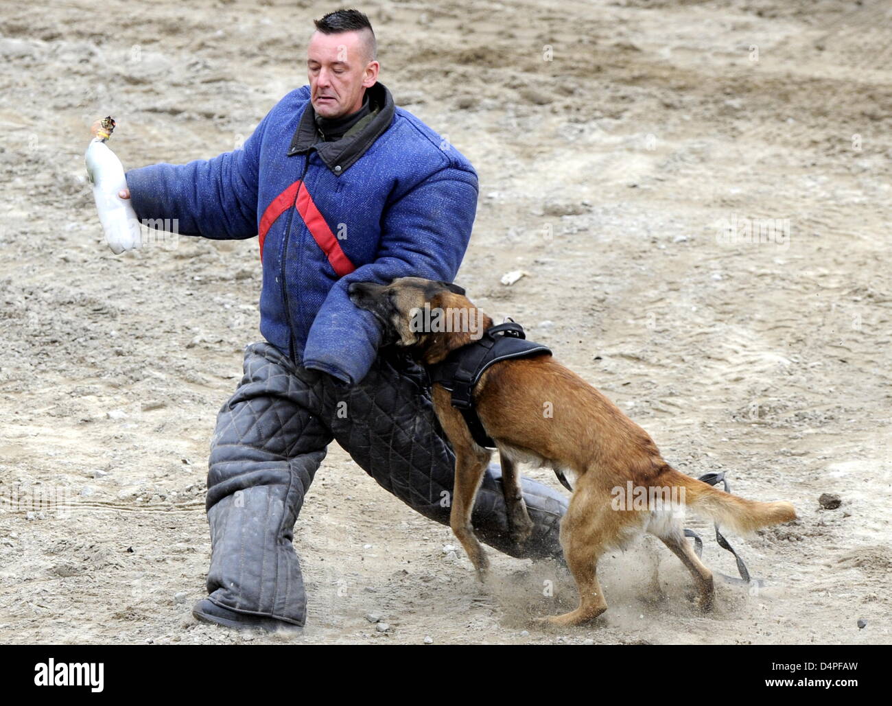 A Bundeswehr service dog bites a ?demonstrator? during the ...