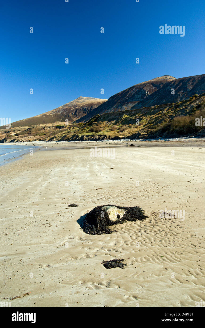 Gyrn Goch and Gyrn Ddu mountains from tanygraig beach Trefor, Lleyn ...