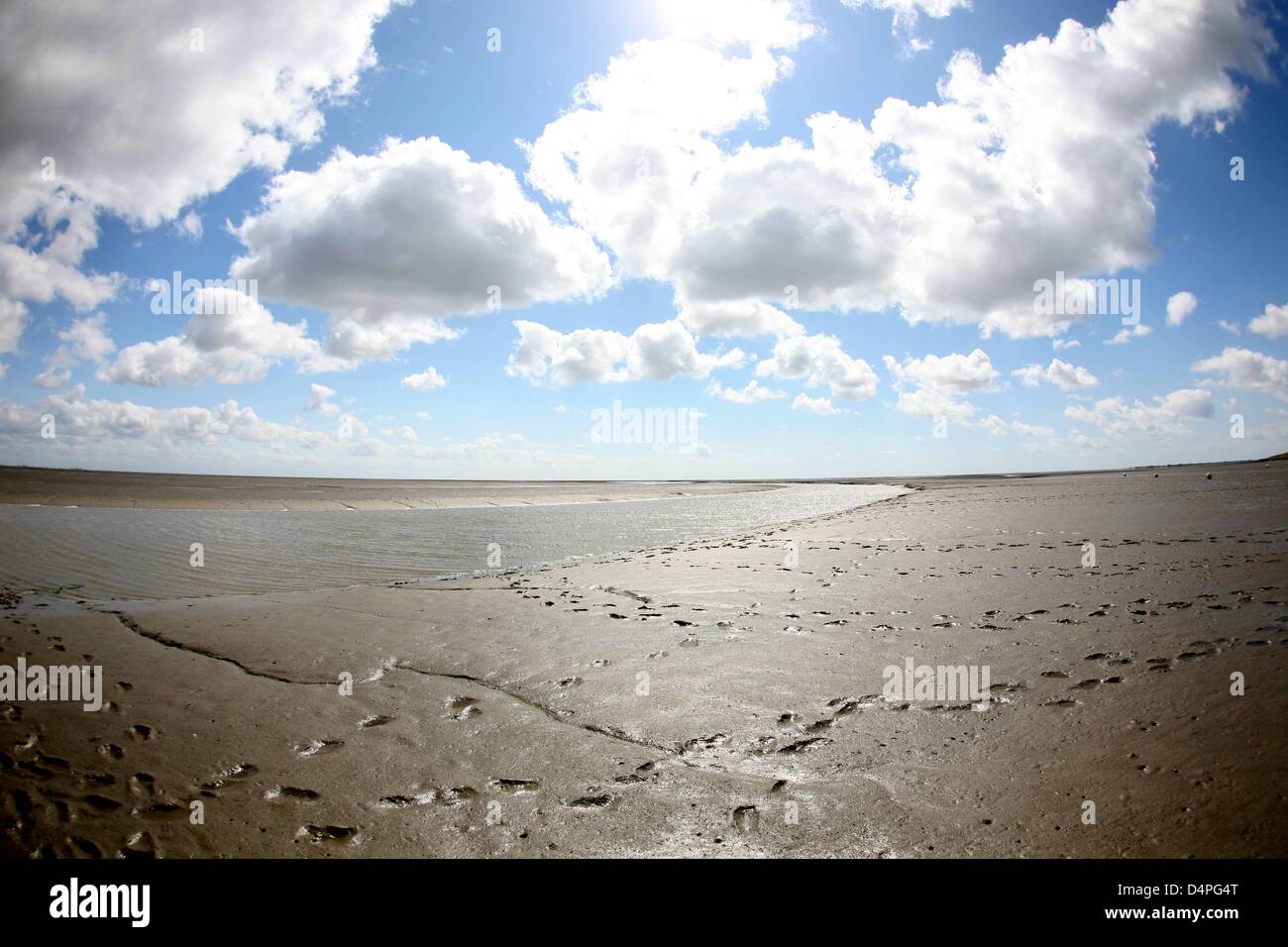 The picture shows the Wadden Sea near Vollerwiek, Germany, 16 June 2009 ...