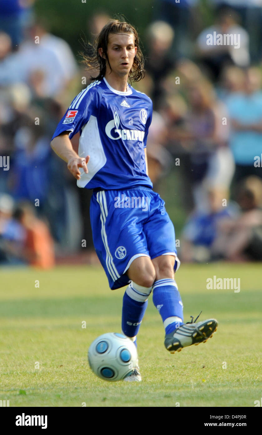 Predrag Stevanovic of German Bundesliga club FC Schalke 04 shown in ...