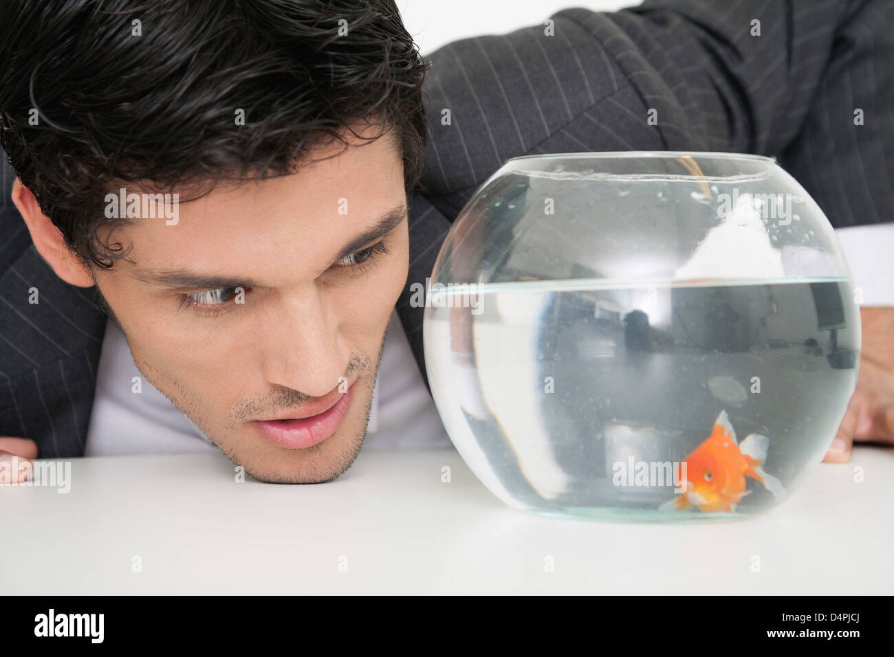 Businessman looking at goldfish in fishbowl Stock Photo - Alamy