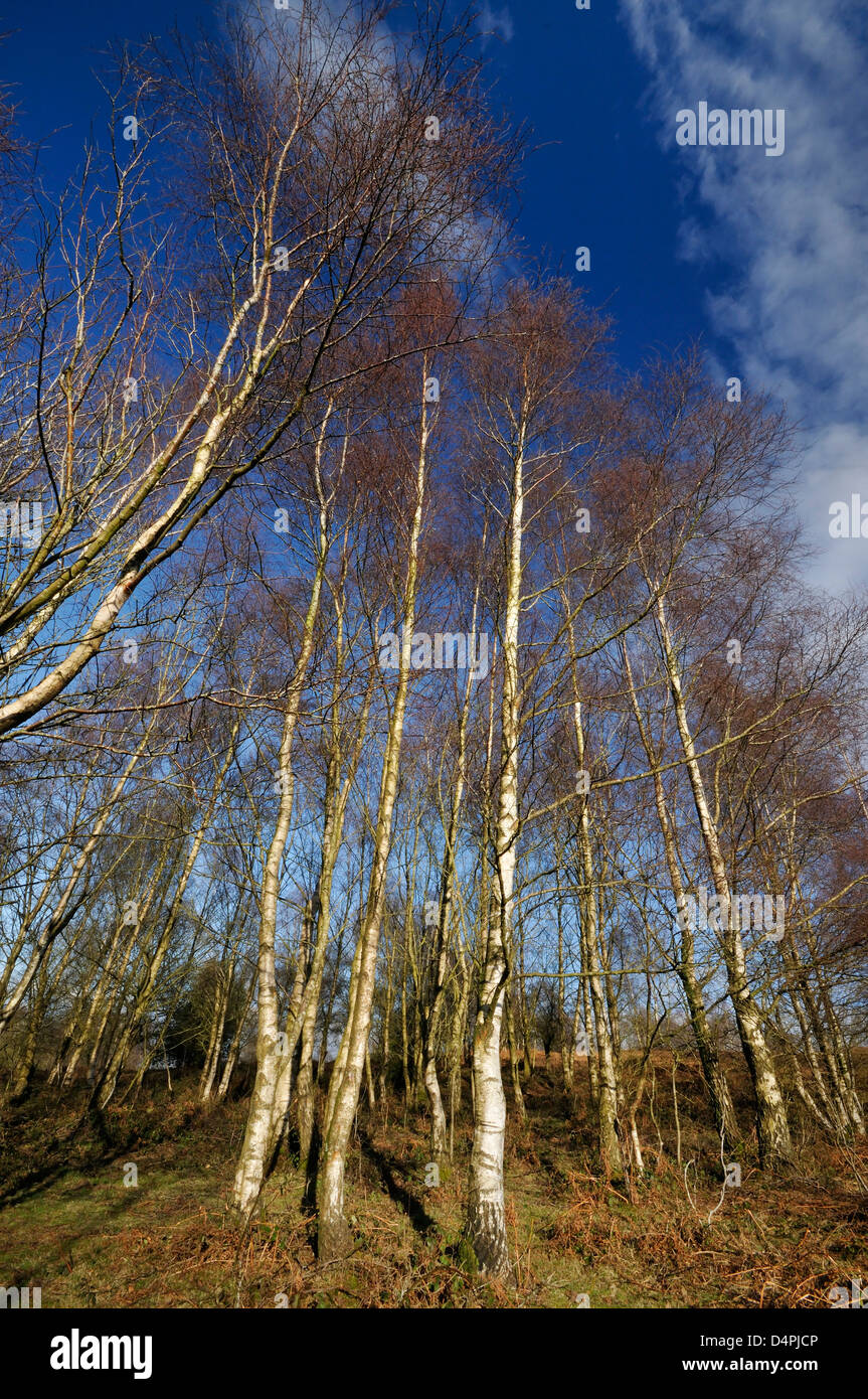 May hill hi-res stock photography and images - Alamy