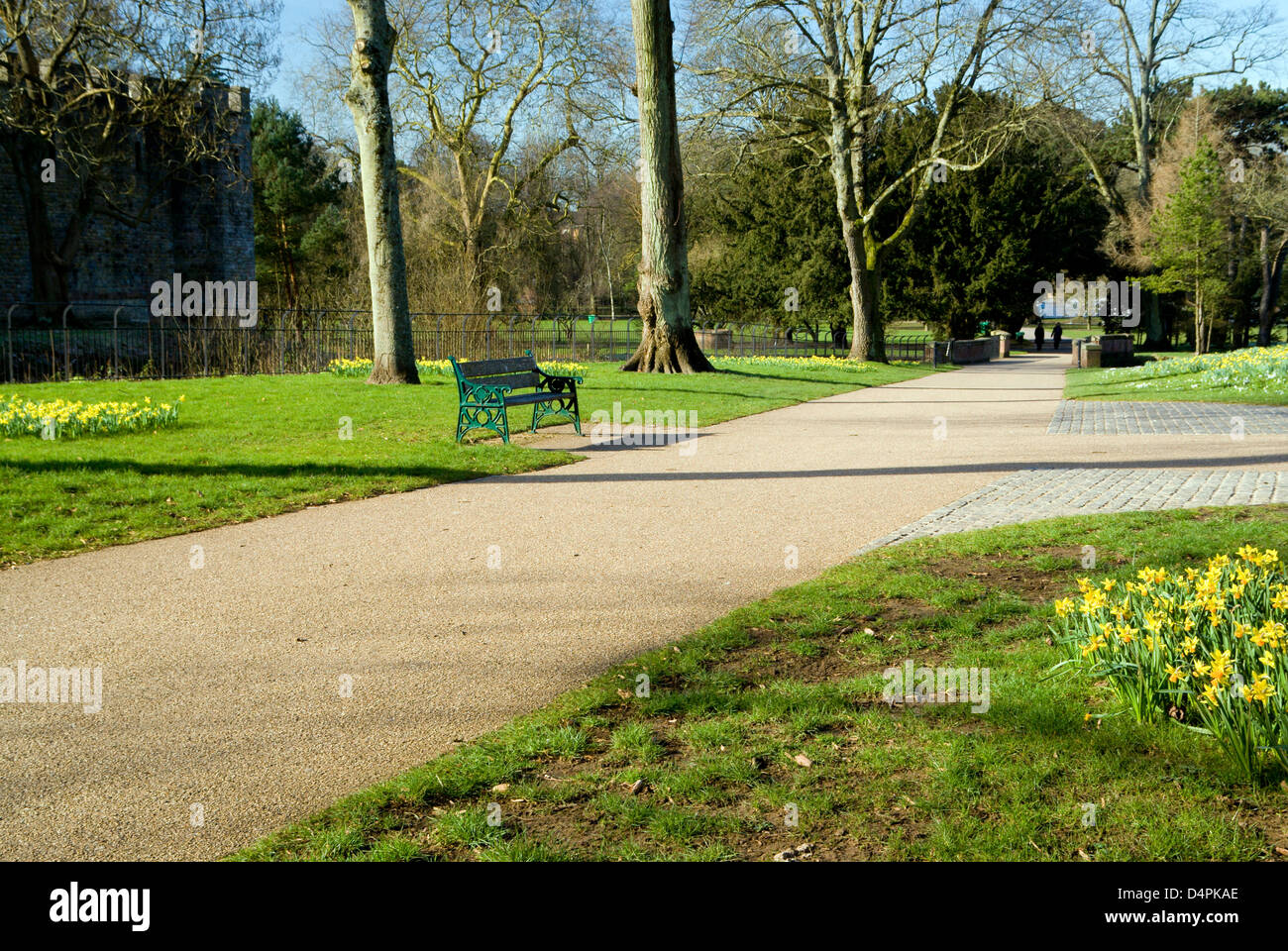 bute park and daffodils cardiff wales Stock Photo - Alamy