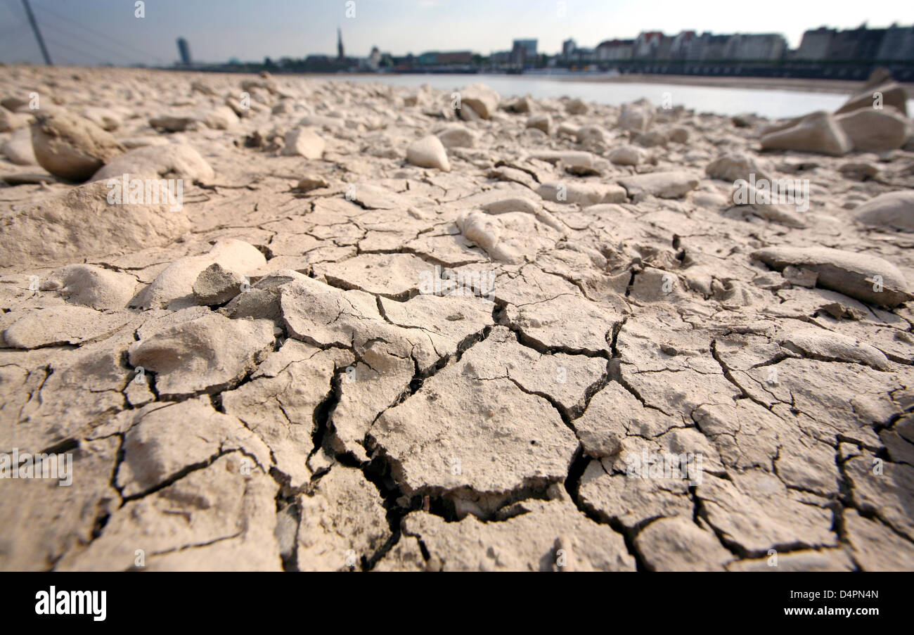 The dried out ground pictured near the Rhine river in Duesseldorf ...