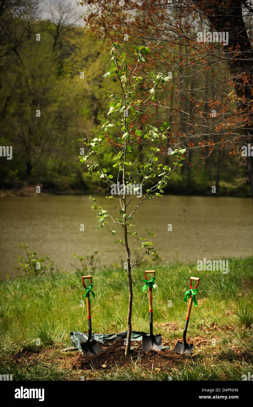 To celebrate Earth Day in 2009, a Moon Tree was planted at the National ...