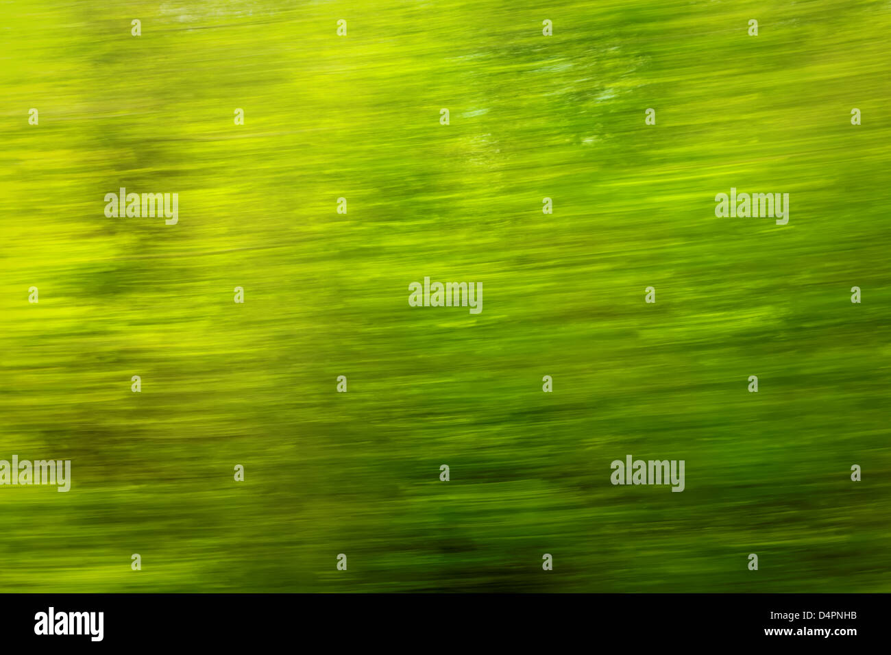 Spring view from car window hi-res stock photography and images - Alamy