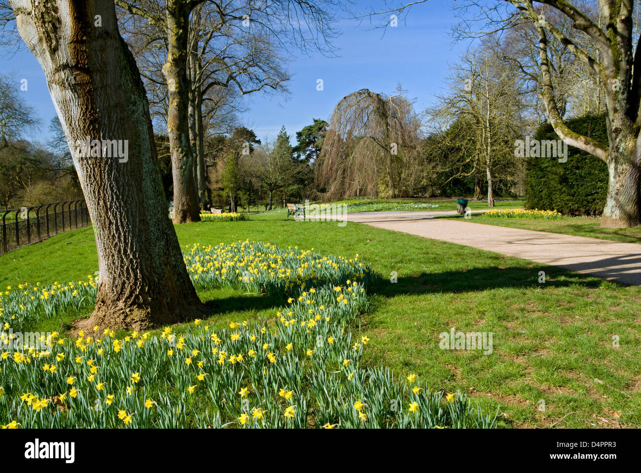 Bute park hi-res stock photography and images - Alamy