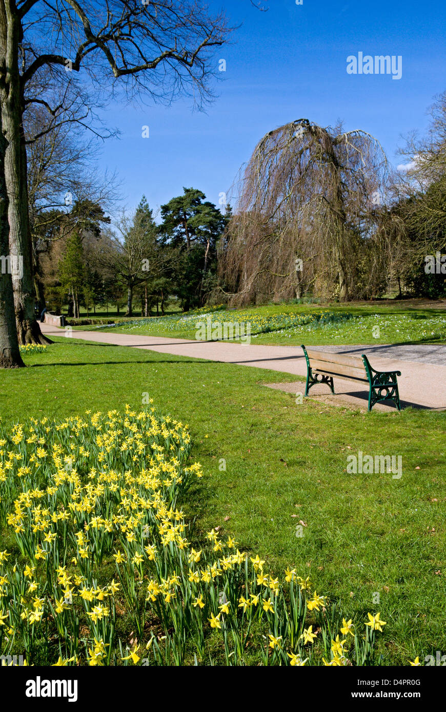 Bute park, cardiff spring hi-res stock photography and images - Alamy