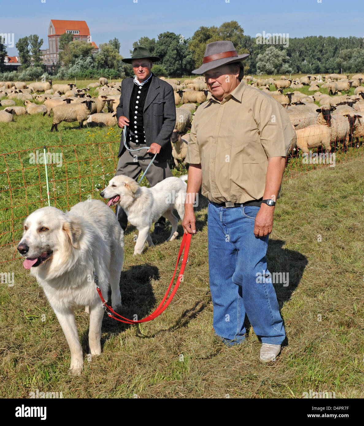 Frank neumann hi-res stock photography and images - Alamy