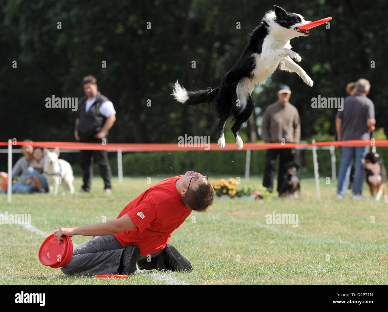 German Daniel Koehler presents the skills of his Border Collie ?Remus ...